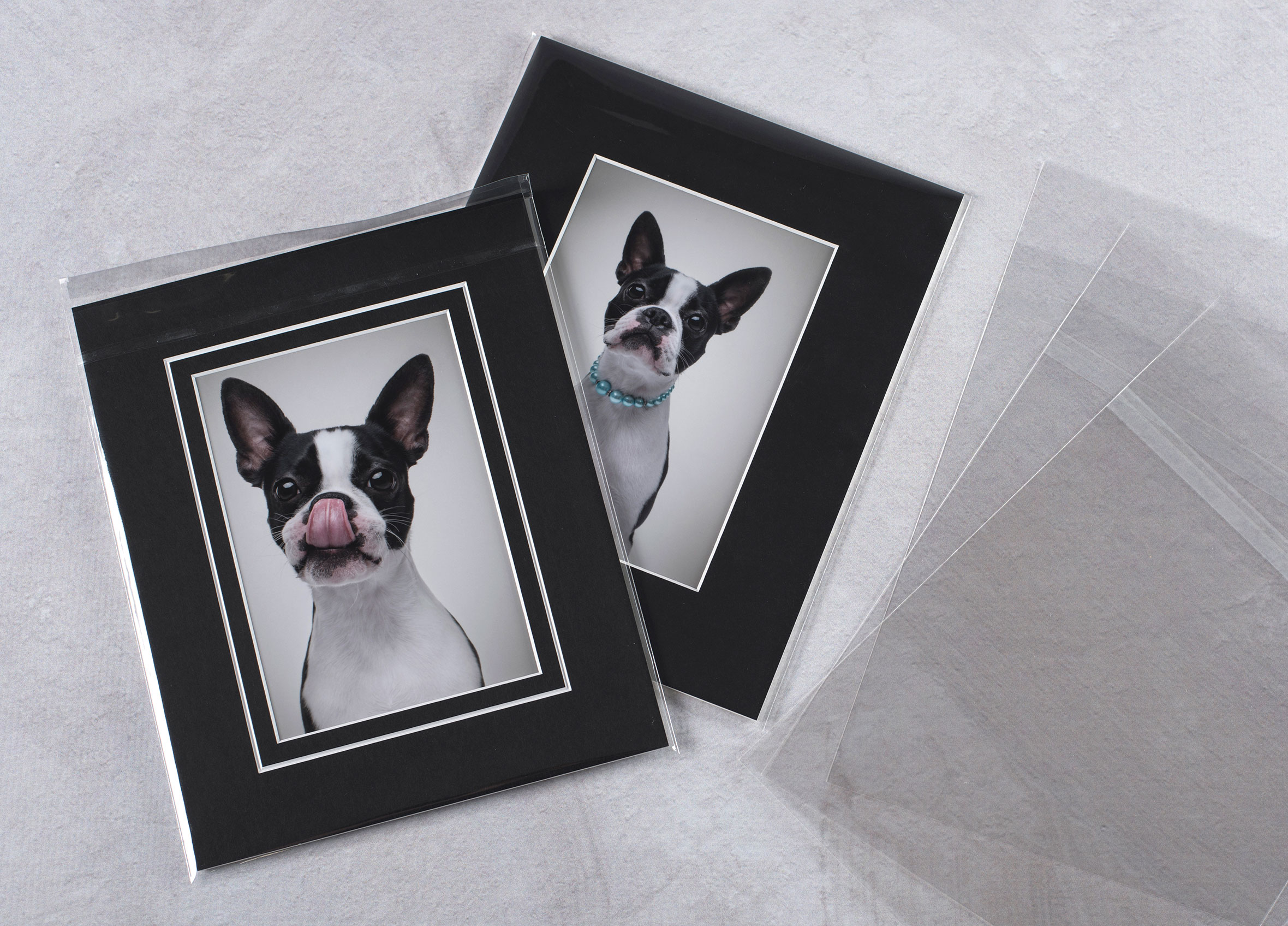 PRINTED FRAME MOUNTS | Seldex Artistic Albums
