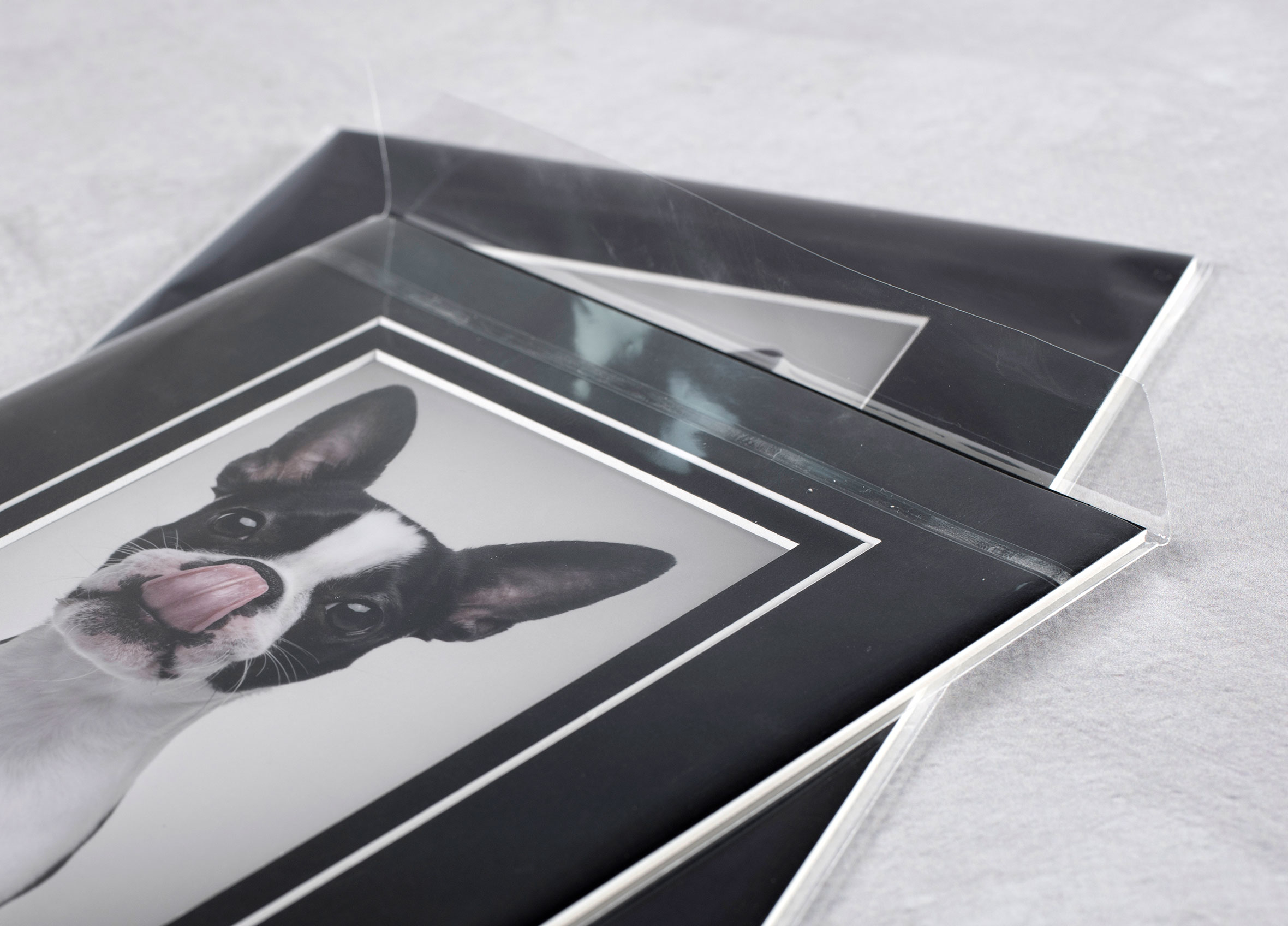 PRINTED FRAME MOUNTS | Seldex Artistic Albums