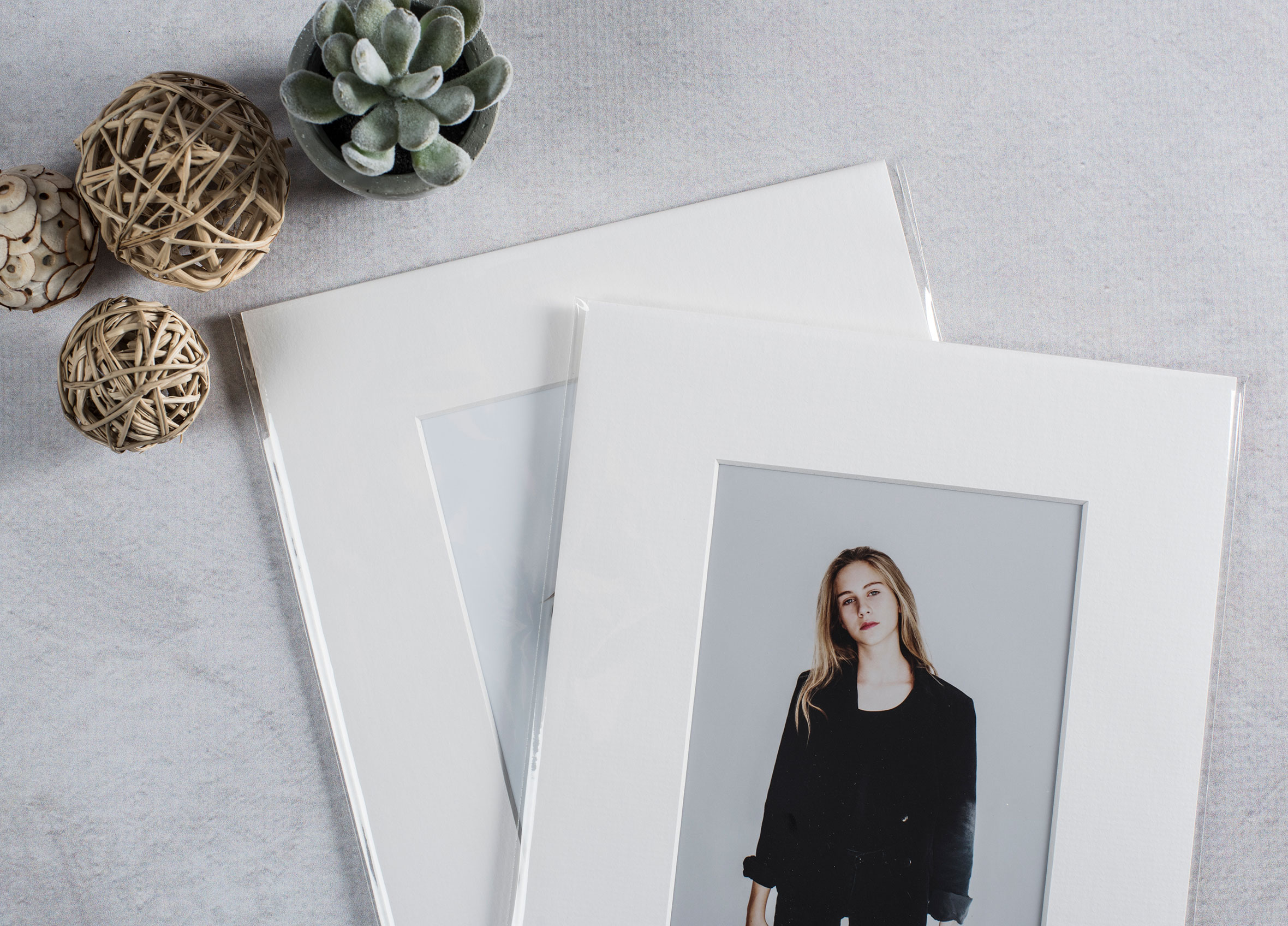 PRINTED FRAME MOUNTS | Seldex Artistic Albums